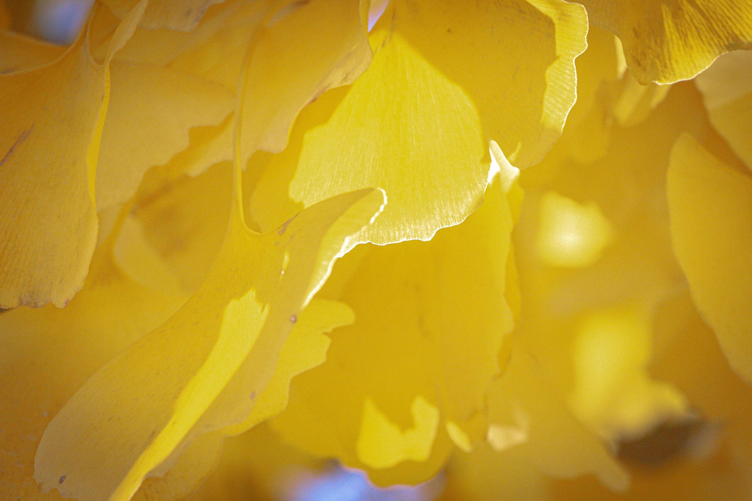 Das Chronische Fatigue-Syndrom – naturheilkundlich betrachtet - NHK Institut