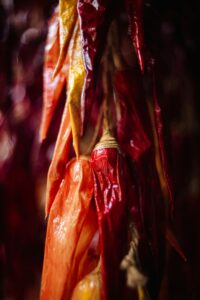 Capsaicin – die vielseitige Kraft des Chilis - NHK Institut